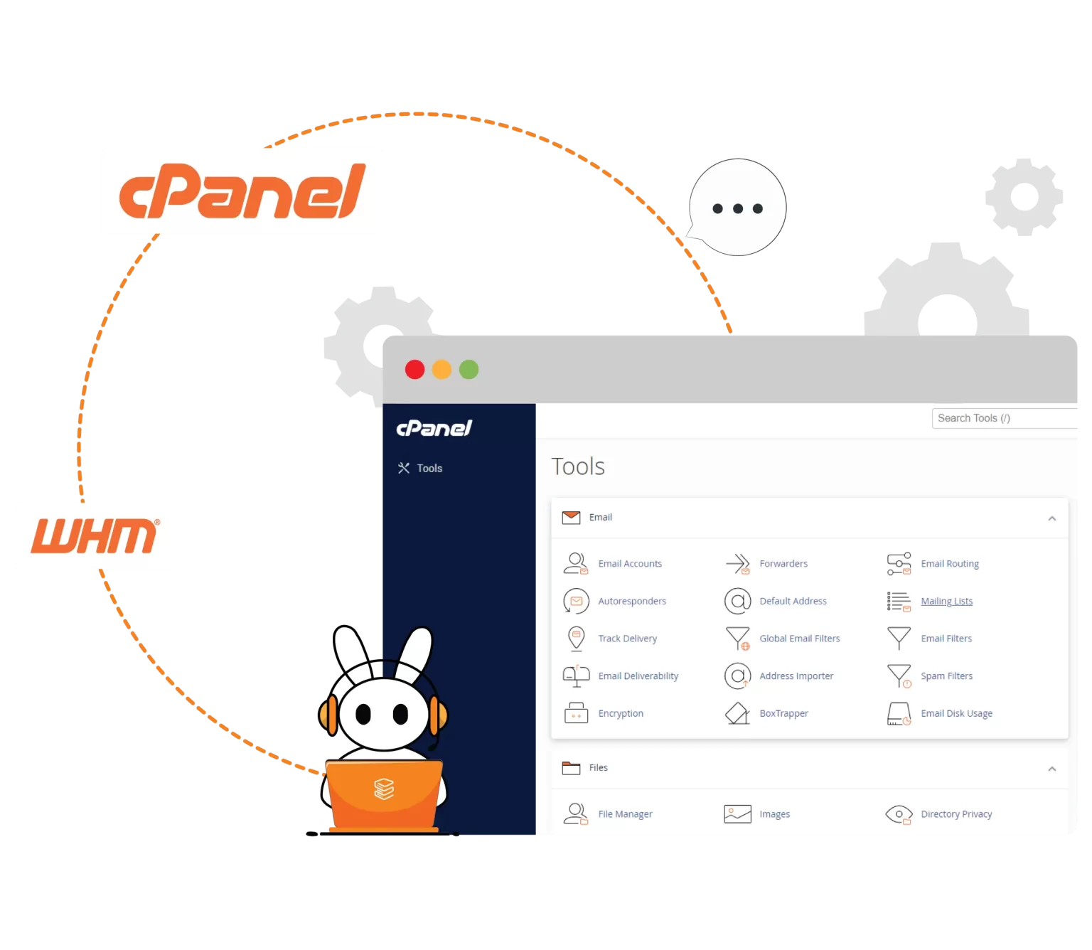 cPanel Server Management & Support Provider